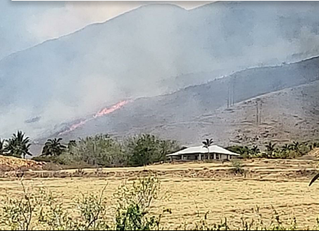 Update 1:45 p.m.: Firefighters respond to Olowalu fire | News, Sports ...